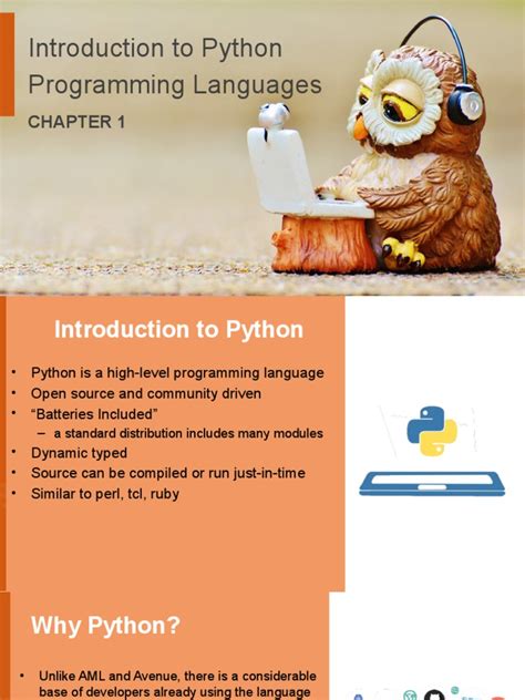 Chapter 1 Introduction To Python Pdf Python Programming Language Object Oriented Programming
