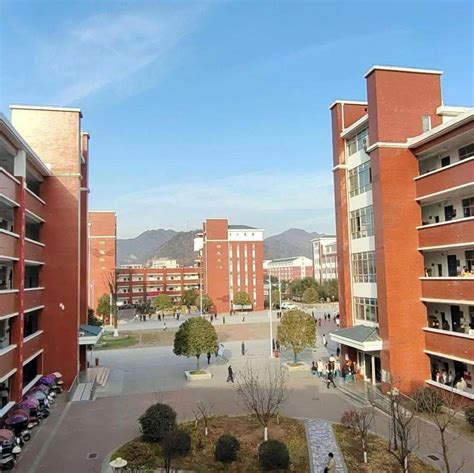 名单公布栾川这名校长榜上有名 河南省 洛阳 教育