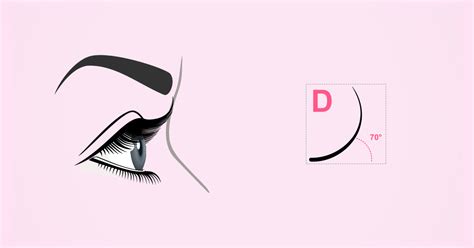 L Curl Lashes Vs D Curl A Brief Comparison