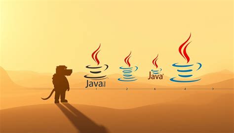 The History Of Java Logo