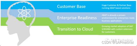 Sap Cloud Platform会抛弃abap吗sap要放弃abap Csdn博客