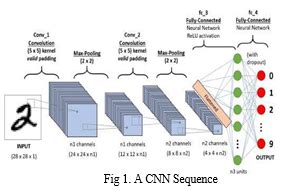 Bird Species Identifier Using Convolutional Neural Network