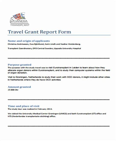 Grant Report Example