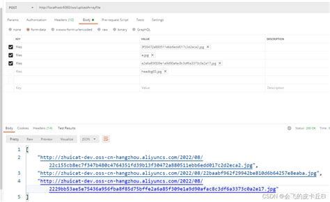 Springboot整合阿里云oss实现单个图片上传和批量上传oss批量上传图片 Csdn博客