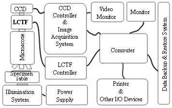 Schematic Diagram Of A Multispectral Imaging Microscope Apparatus Based Download Scientific