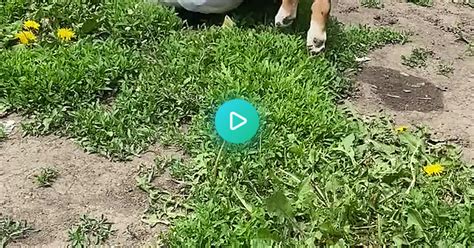 Garbage Album On Imgur