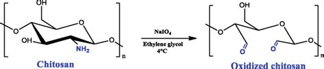 Schematic Representation Of Reaction Between Chitosan Cs By Sodium