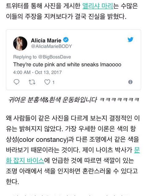 민트회색vs핑크흰색 인스티즈instiz 이슈 카테고리