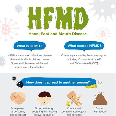 Infographic Hand Foot And Mouth Disease Hfmd Pdf