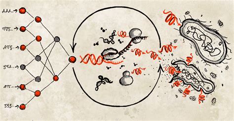 Rapid Development Of Ai Designed Antimicrobial Peptides Via Cell Free Biosynthesis Research