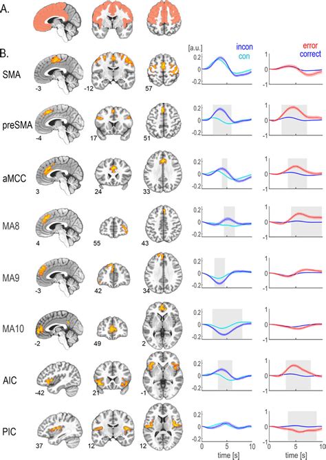 Fmri Results A Mask Covering Frontal And Insular Cortices Used In The