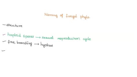 Solved In Fungal Sexual Life Cycles A Plasmogamy Produces Diploid Hyphae B The Mycelium