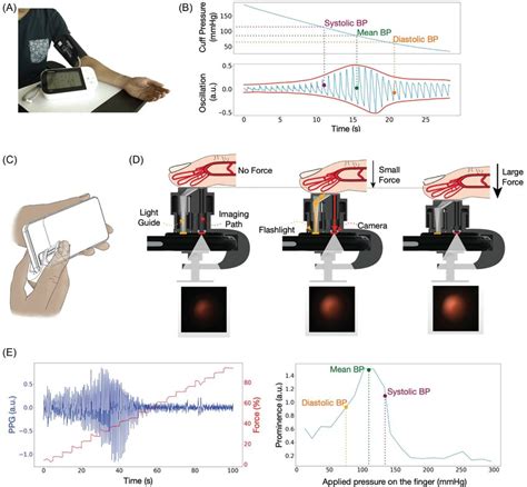 System Overview Using Finger Oscillometry To Calculate Bp A