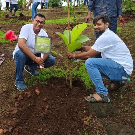 Sunil Vishwakarma On Linkedin Here Is A Message That A Corporate Company Can Use To Promote Tree