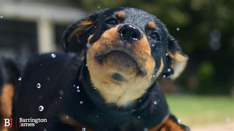 Rebecca Jones On Linkedin Development Quantumcomputing Rf Qubit Spin Charge Transmon