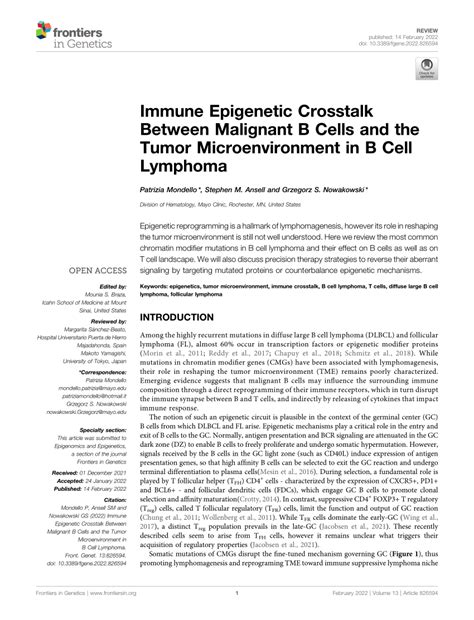 PDF Immune Epigenetic Crosstalk Between Malignant B Cells And The