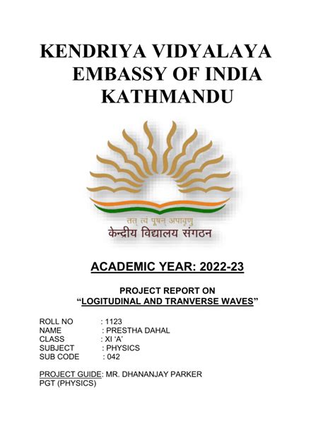 Longitudinal And Transverse Waves Project Report