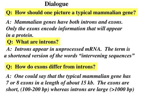 PPT RNA Processing PowerPoint Presentation Free Download ID