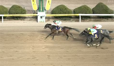 バーデンヴァイラー 佐賀記念制覇で地方交流重賞2勝目！ ～turf Of Dreams～ 一口馬主引退間近の奇跡【軌跡】