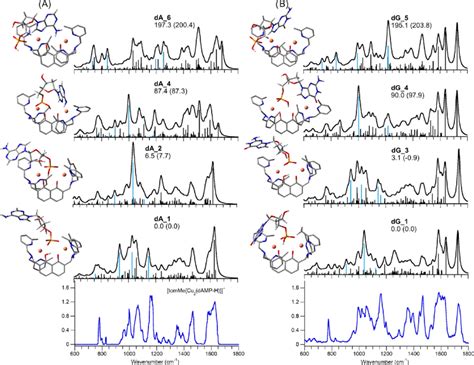 Irmpd Spectra Of [1 Damp 2h ] Panel A Bottom And [1 Dgmp 2h ] Download Scientific