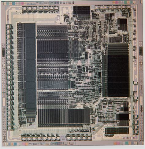 Cvax Wikipedia Cvax Wikipedia