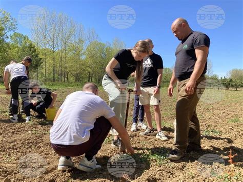 Ученици от Ловеч се включиха в кампания по залесяване в разсадника на Държавно горско стопанство