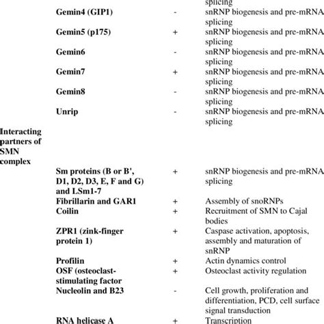 Interactions Of The Smn Protein With Components Of Smn Complex And