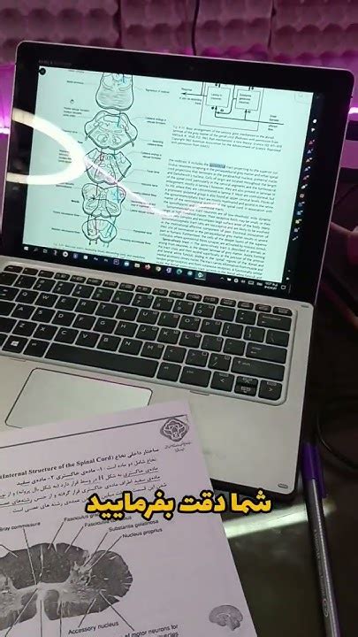 دلیل بدبختی یه دانشجو پزشکی شب امتحان نورو😂😂😂 Youtube