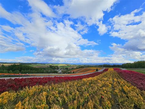 4박 5일 삿포로 여행 몇몇 사진 포텐 터짐 최신순 에펨코리아