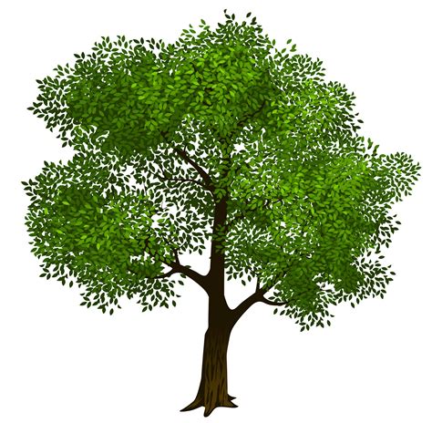 Tree Green Clip Art Transparent Green Tree PNG Picture Png Download 4498 5270 Free