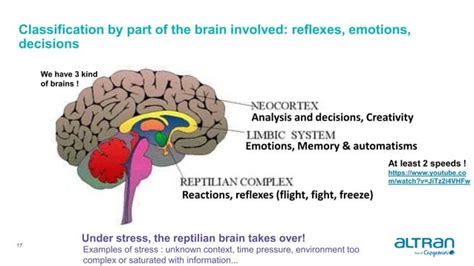 Human Error Solutions A Systemic Approach Ppt