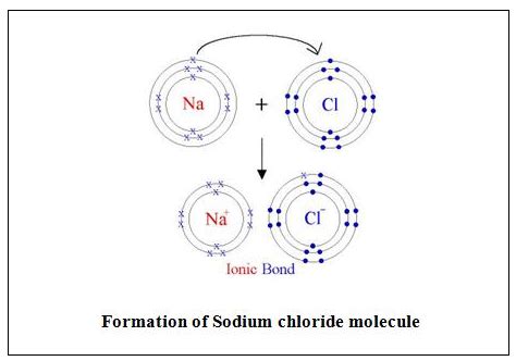 Selina ICSE Solutions For Class 9 Chemistry Atomic Structure CBSE Library