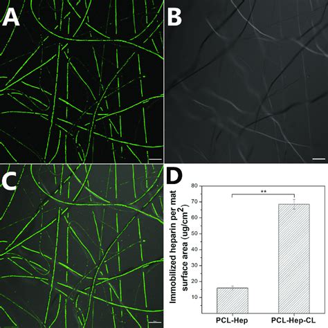 Heparin Distribution And Surface Immobilization In Pcl Mats Images Download Scientific Diagram