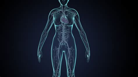 糖尿病血糖进入血液3d示意图 高清图片素材