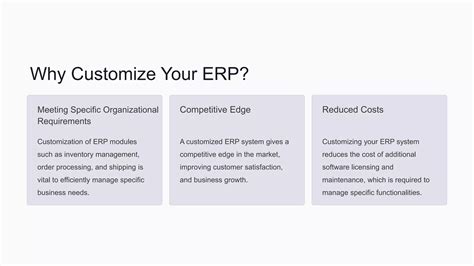 ERP Configuration And Customization PDF