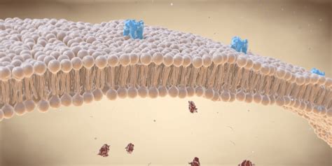 Exploring The Application Of Polymeric Active Layers On Electrospun Membranes To Improve Their
