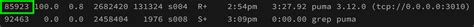 Can T Stop Rails Server Stack Overflow