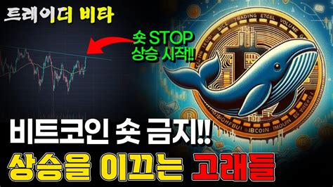 비트코인 숏 금지 상승을 이끄는 고래들 비트코인 비트코인분석 비트코인단타 비트코인전망 코인시황 코인분석 추천코인 스택스 Youtube