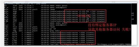 一個詭異的 Jedisconnectionexception：connection Refused 問題 每日頭條