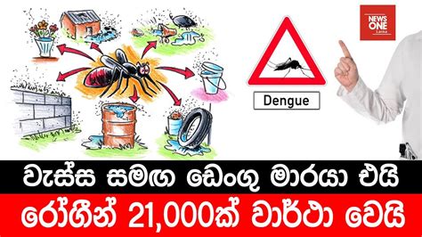 වැස්ස සමඟ ඩෙංගු මාරයා එයි රෝගීන් 21 000ක් වාර්ථා වෙයි Youtube