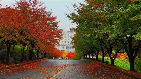 Linkedin Kyung Hee University 경희대학교 페이지 Kyung Hee University Global