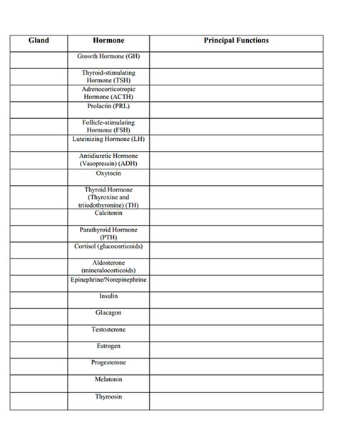 Worksheets The Endocrine System