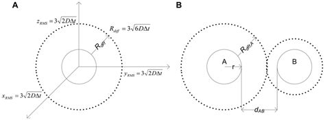 Three Dimensional Stochastic Off Lattice Model A The Radius Of The Download Scientific