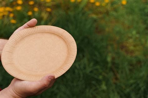 친환경 천연 접시 녹색 잔디 배경에 손에 일회용 생태 기구의 집합입니다 지구의 지속 가능성 플라스틱을 사용하지 마십시오 대나무와 바가스 섬유로 만든 골판지 요리 0명에 대한