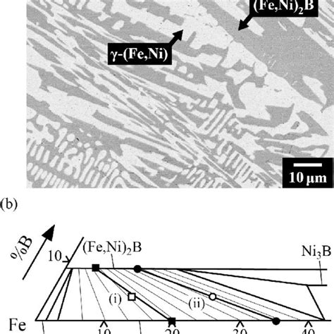 A Sem Microstructure Of An Fe 241ni 38b Alloy Annealed At 800ºc
