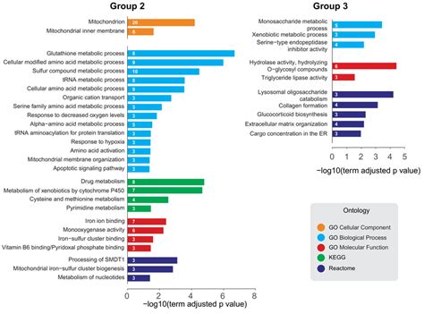 Cluego Pathway Enrichment Analysis Pea Of Dperk Dependent Targets Download Scientific