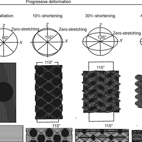 Progressive Homogeneous Deformation And Deformation Localization Of
