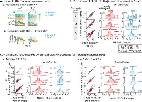 Audiovisual Task Switching Rapidly Modulates Sound Encoding In Mouse