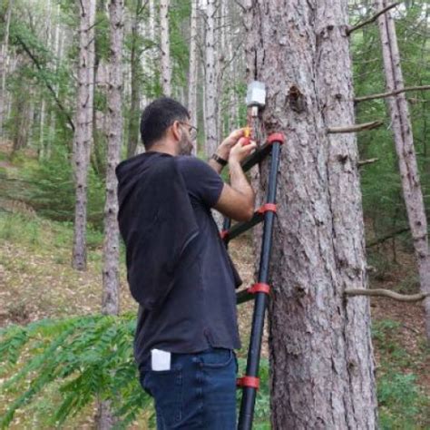 LoRaWAN Early Forest Fire Detection System At Florina Greece CyRIC IoT