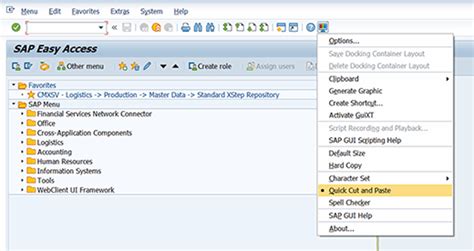 Quick Copy Cut Paste Tip Using SAP Ctrl Y
